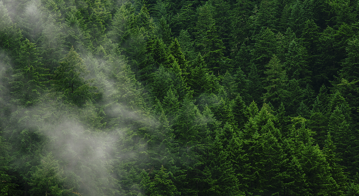 Ostrum in a nutshell | Ostrum Asset Management